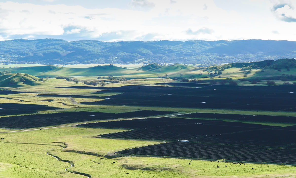 First Solar completes 280MW solar project co-located with a cattle ...
