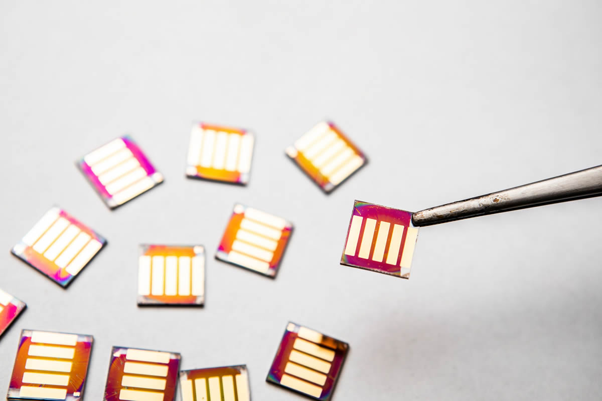 University of Queensland researchers set the world record for quantum ...